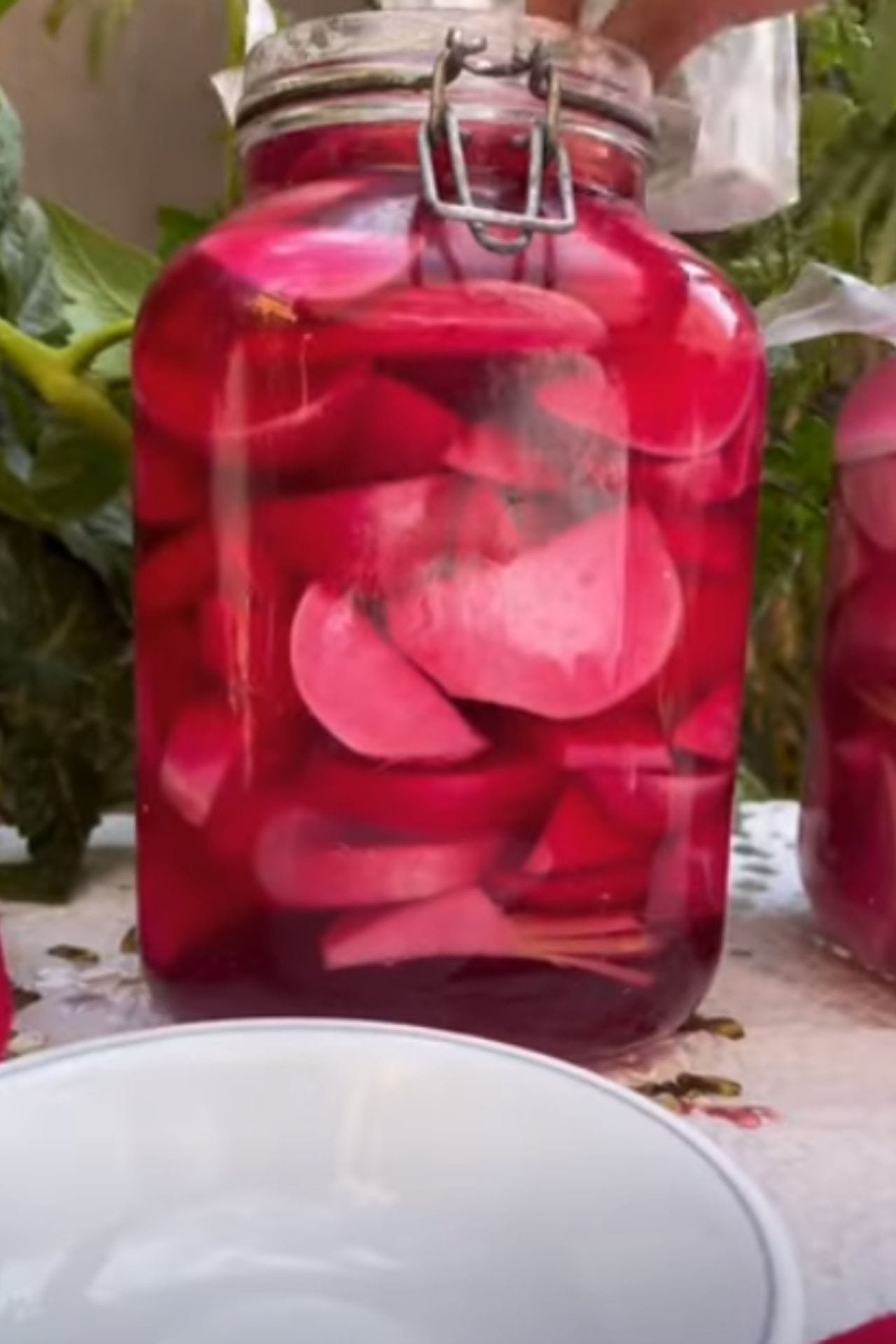 Pickled Turnips - Kitch